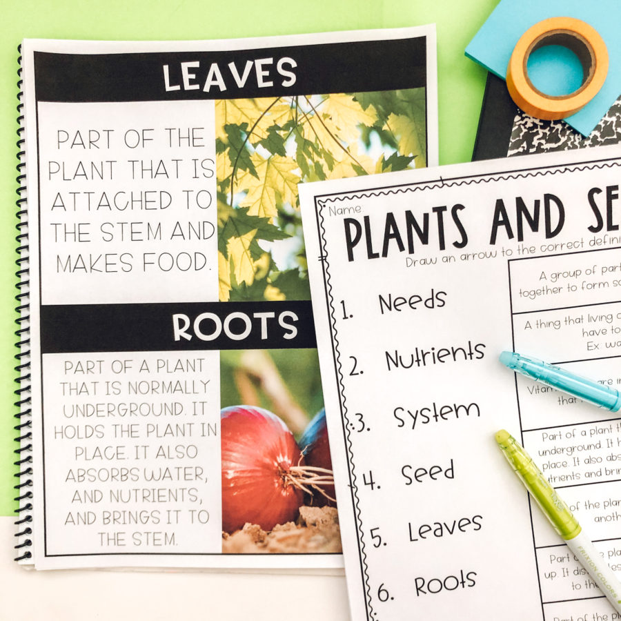 Low-Prep All About Plants And Seeds Activities For Kids