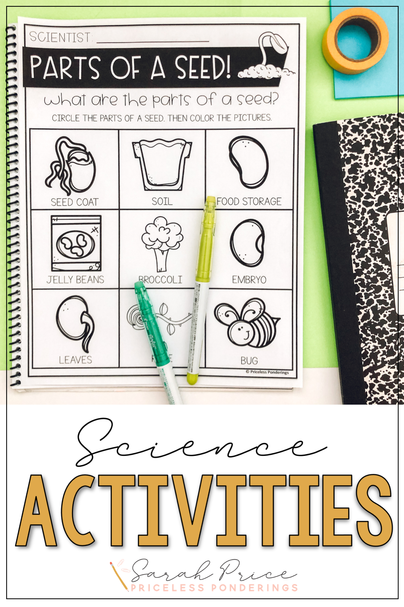 Low-Prep All About Plants And Seeds Activities For Kids