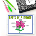 Hands-On Pollination Activities For Elementary Science - Priceless ...