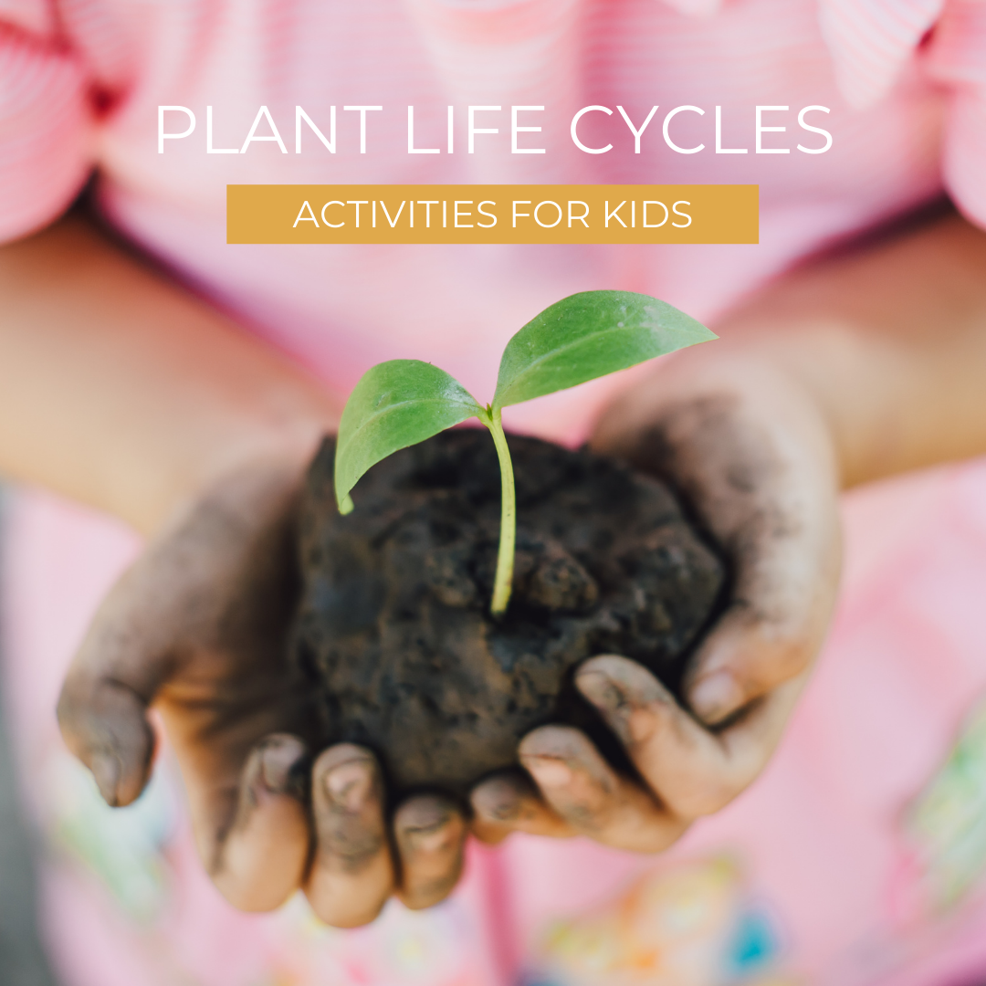 Elementary Science Units - Make Teaching Plant Life Cycles Easy ...