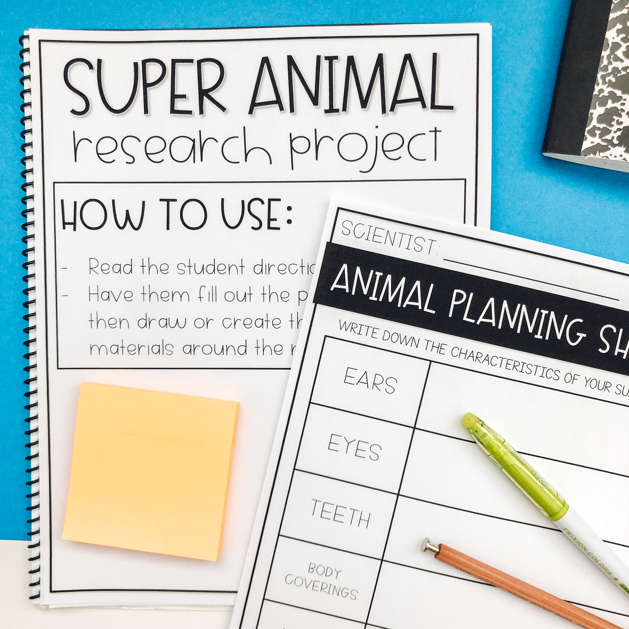 Life Science Curriculum: 7 Easy Topics For 2nd Grade - Priceless Ponderings