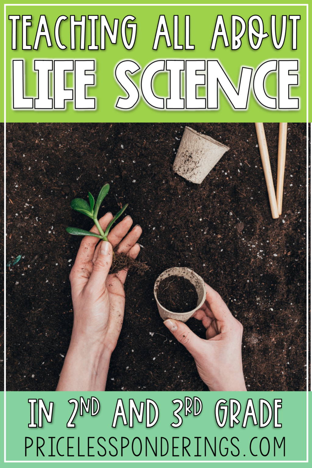 Life Science Curriculum: 7 Easy Topics For 2nd Grade - Priceless Ponderings