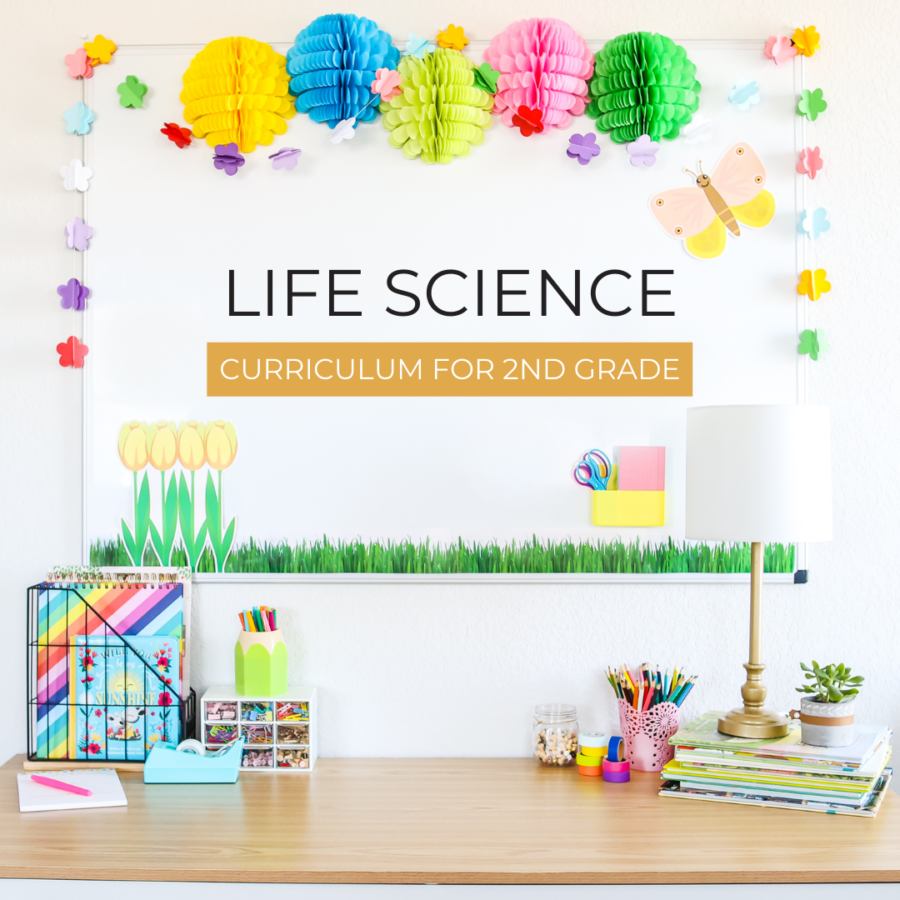 5 Exciting Anchor Charts For Science: Life Science Posters