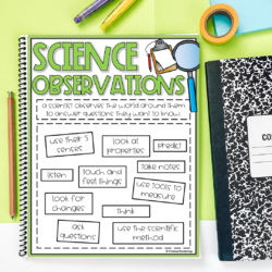 How To Make Scientific Observations: Activities For Kids - Priceless ...