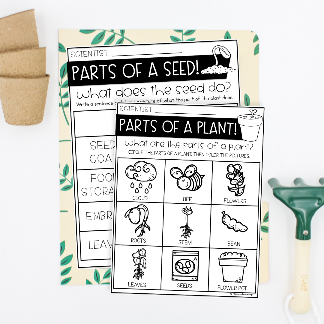 How To Make Teaching About Plants Fun For Kids - Priceless Ponderings