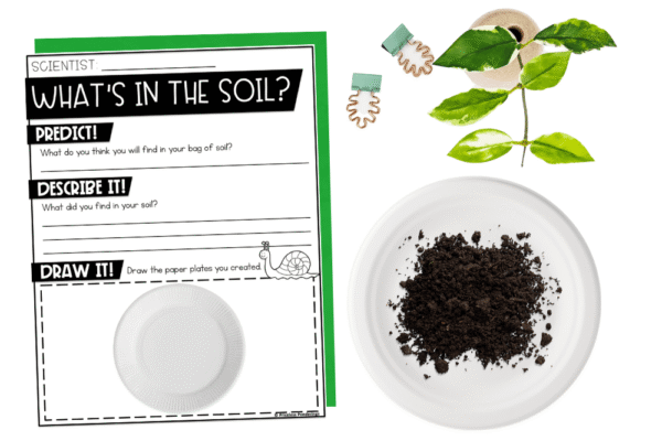 7 Soil Activities For Kids That Make Earth Science Easy