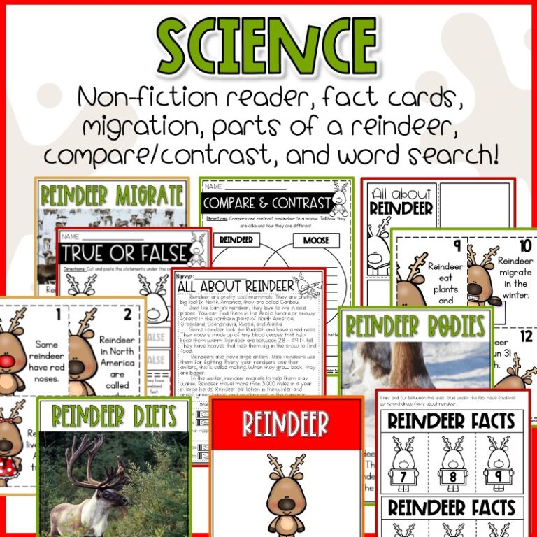December Worksheets | Reindeer Math & Literacy Activities | 2nd -3rd ...