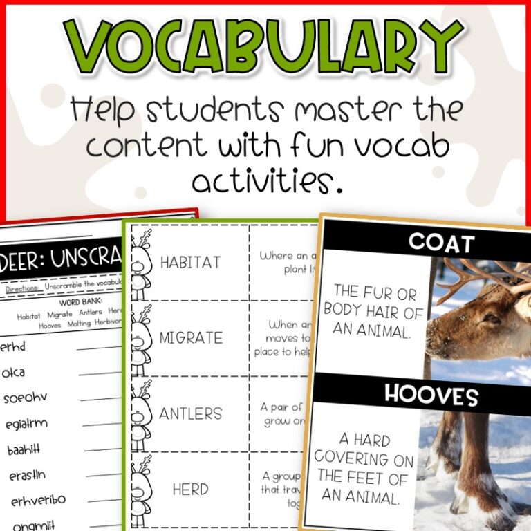 December Worksheets | Reindeer Math & Literacy Activities | 2nd -3rd ...