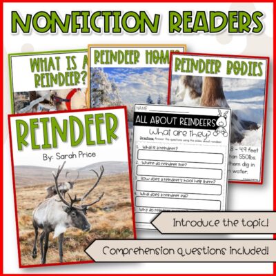 December Worksheets | Reindeer Math & Literacy Activities | 2nd -3rd ...