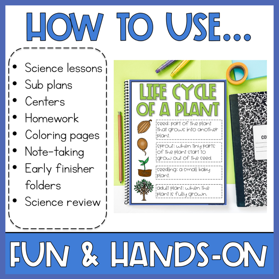 Life Science Anchor Charts Science Posters | Life Cycles, Plants, And ...