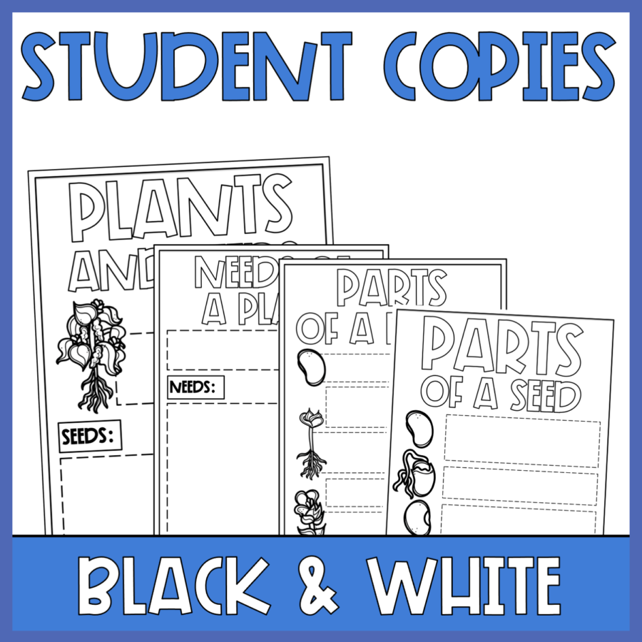 Life Science Anchor Charts Science Posters | Life Cycles, Plants, And ...