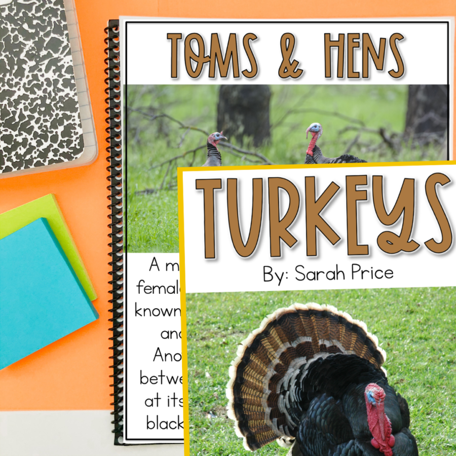 Easy Activities To Teach Kids About Turkeys - Priceless Ponderings
