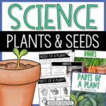 Life Science Interactive Notebook & Labs BUNDLE | Life Cycles Plants ...
