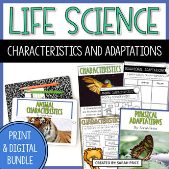 Animal Characteristics & Adaptations Activity Bundle - 2nd Grade ...