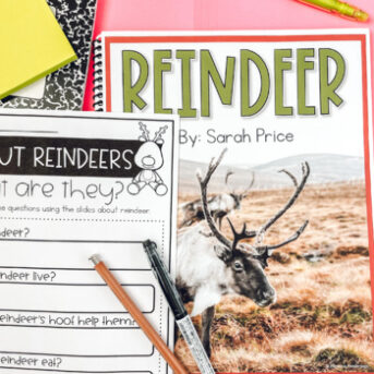 2nd & 3rd Grade December Lesson BUNDLE - Gingerbread & Reindeer ...