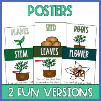 All About Plants Anchor Charts | Parts Of Seeds | Needs Of Plants ...