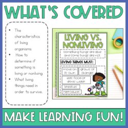 1st & 2nd Grade Life Science - Living & Non-Living Things Activities ...