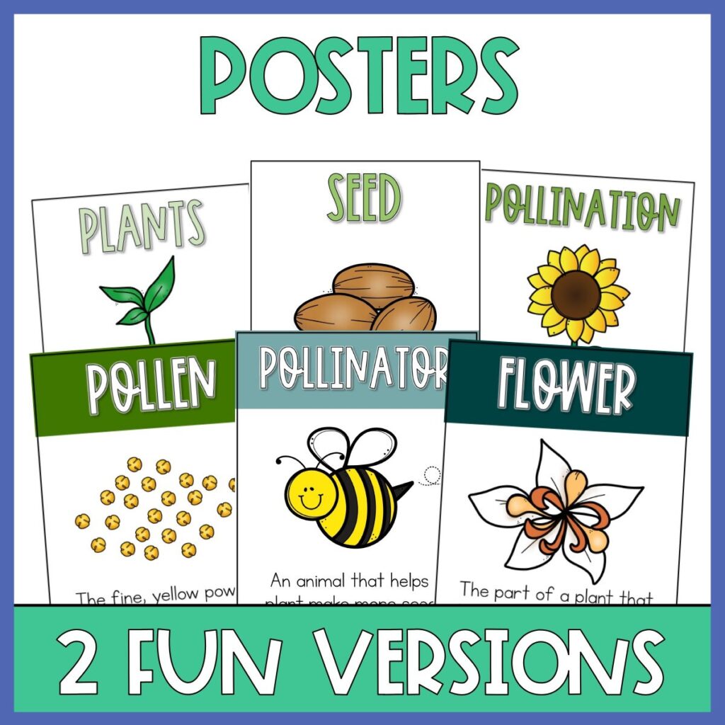 3rd Grade Science Plants Unit Parts Of A Flower And Pollination ...