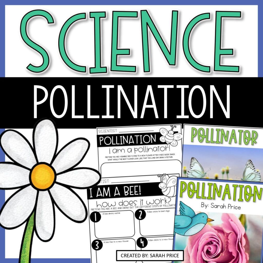 3rd Grade Science Plants Unit Parts Of A Flower And Pollination ...