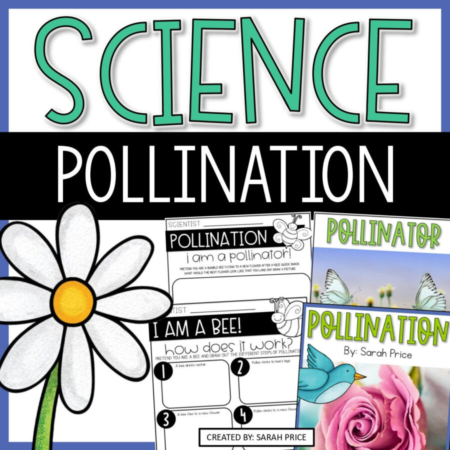 3rd Grade Science Plants Unit Parts Of A Flower And Pollination ...