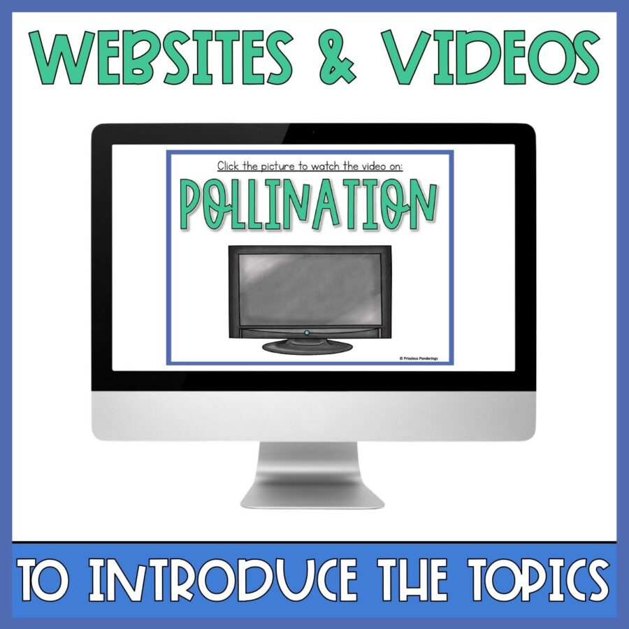 2nd & 3rd Grade Life Science - Pollination Digital Activities For ...