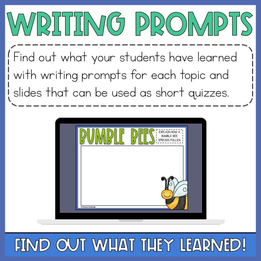 2nd & 3rd Grade Life Science - Pollination Digital Activities For ...