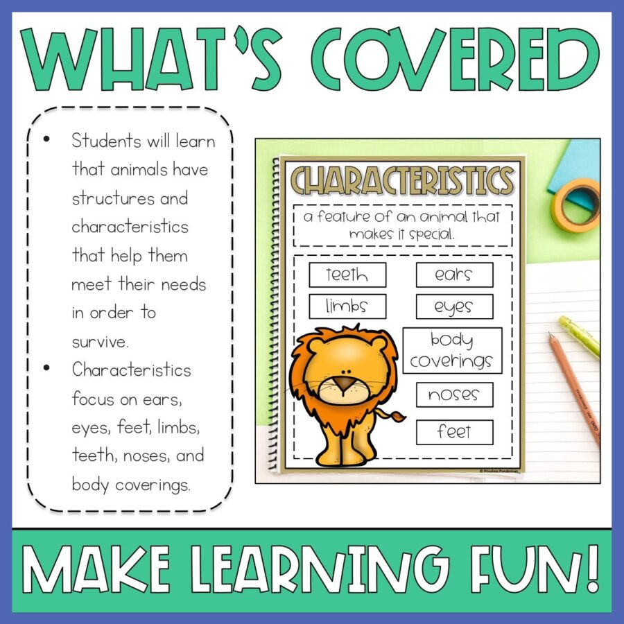 Animal Characteristics Activities & Worksheets - 2nd Grade Life Science ...