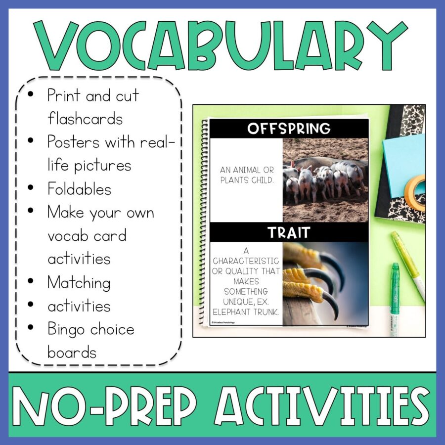 Animal Characteristics Activities & Worksheets - 2nd Grade Life Science ...