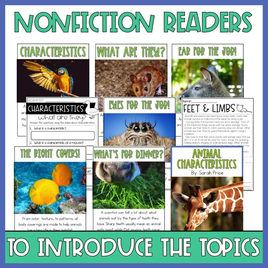Animal Characteristics Activities & Worksheets - 2nd Grade Life Science ...
