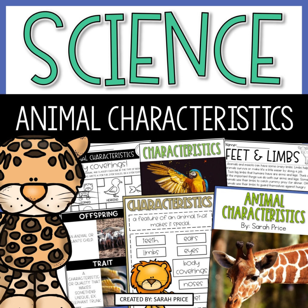 Animal Characteristics Activities & Worksheets - 2nd Grade Life Science ...