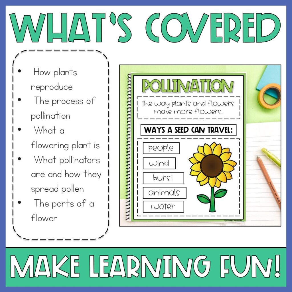 3rd Grade Science Plants Unit Parts Of A Flower And Pollination ...