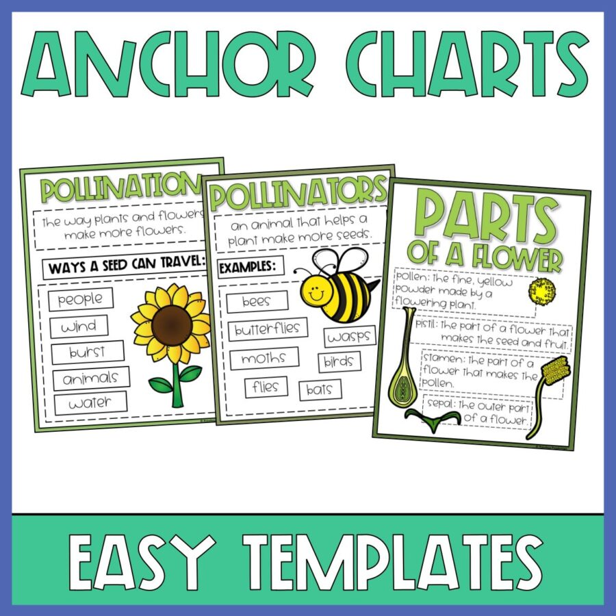 3rd Grade Science Plants Unit Parts Of A Flower And Pollination ...
