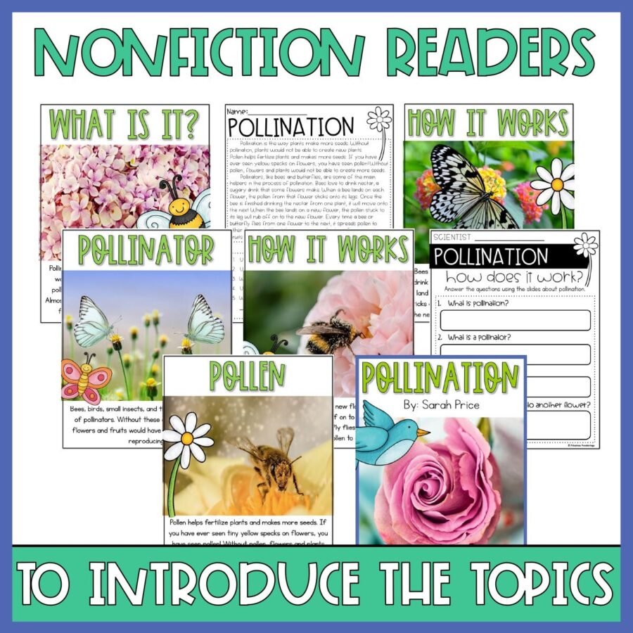 3rd Grade Science Plants Unit Parts Of A Flower And Pollination ...