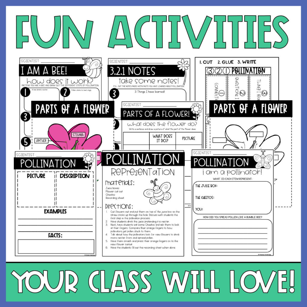 3rd Grade Science Plants Unit Parts Of A Flower And Pollination ...