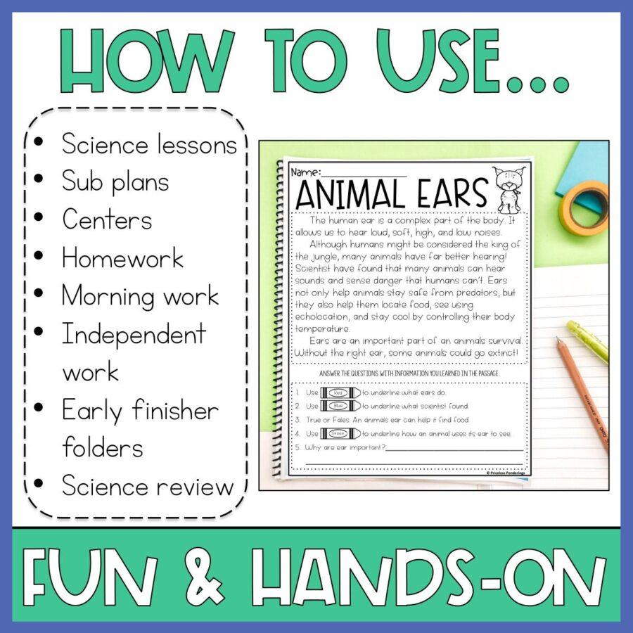 Animal Characteristics Activities & Worksheets - 2nd Grade Life Science ...