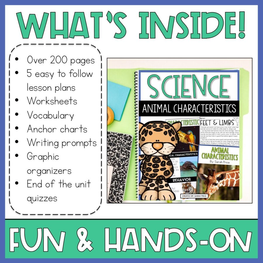 Animal Characteristics Activities & Worksheets - 2nd Grade Life Science ...