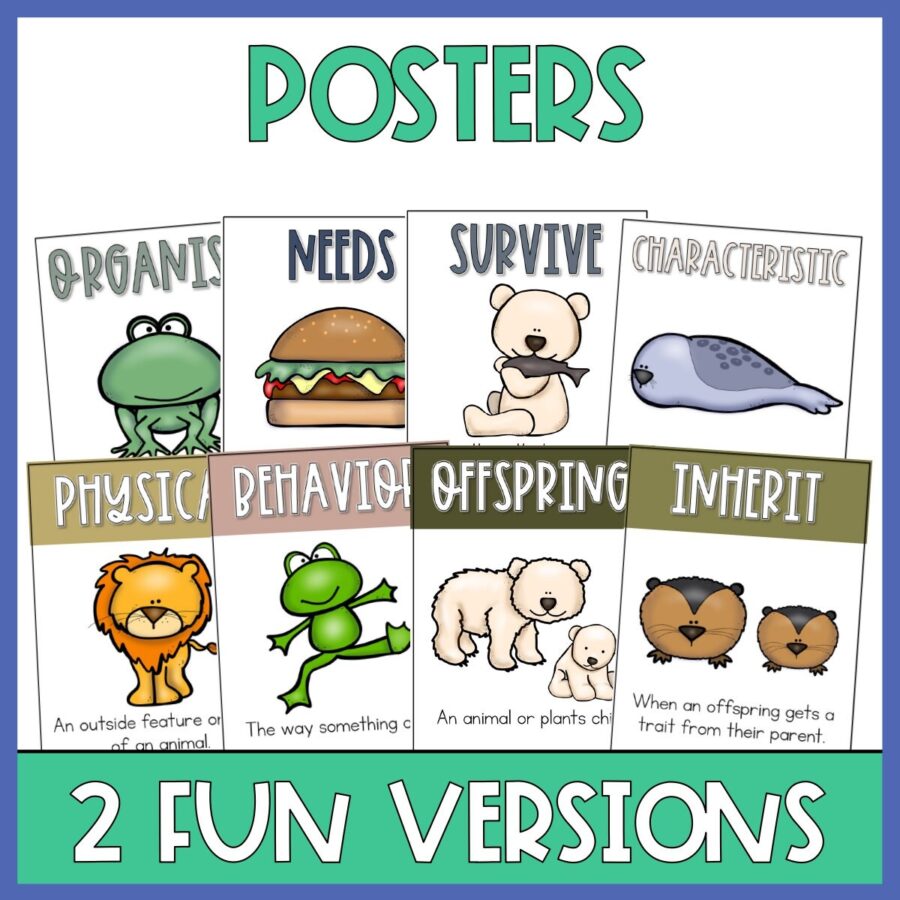 Animal Characteristics Activities & Worksheets - 2nd Grade Life Science ...