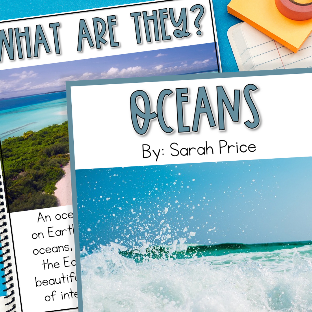 Engaging Activities To Bring Geography To Life For Second Graders ...