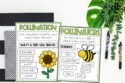 5 Exciting Anchor Charts For Science: Life Science Posters
