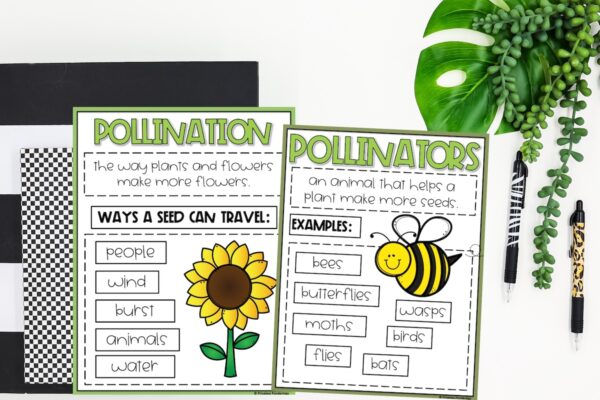 5 Exciting Anchor Charts For Science: Life Science Posters
