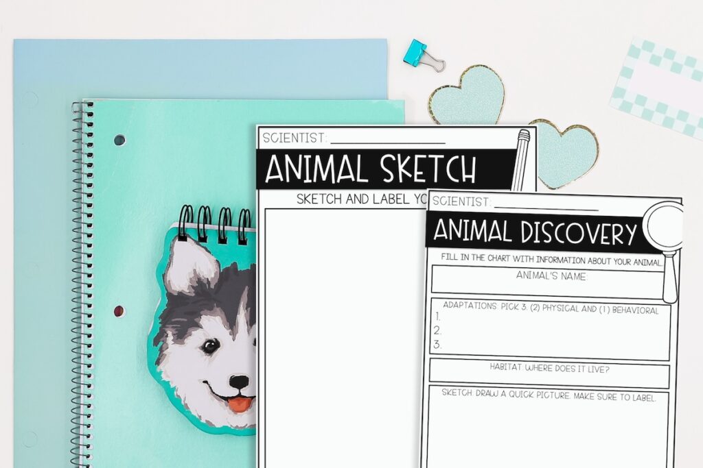 10 Fun Animal Habitat Worksheets For Summer Learning