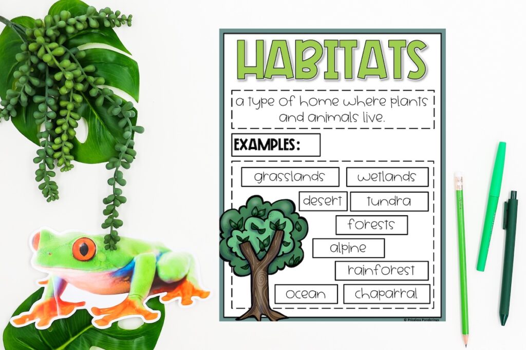 5 Exciting Anchor Charts For Science: Life Science Posters