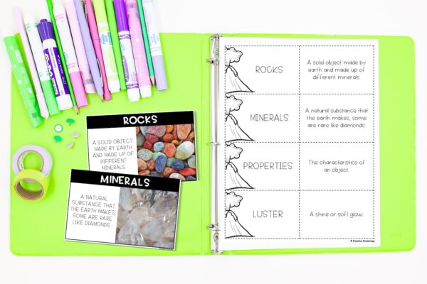 The Best End Year Activities To Reinforce 2nd Grade Science