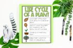 5 Exciting Anchor Charts For Science: Life Science Posters